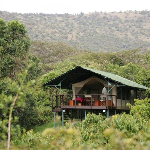 Hotels In Maasai Mara - Travelshoppe